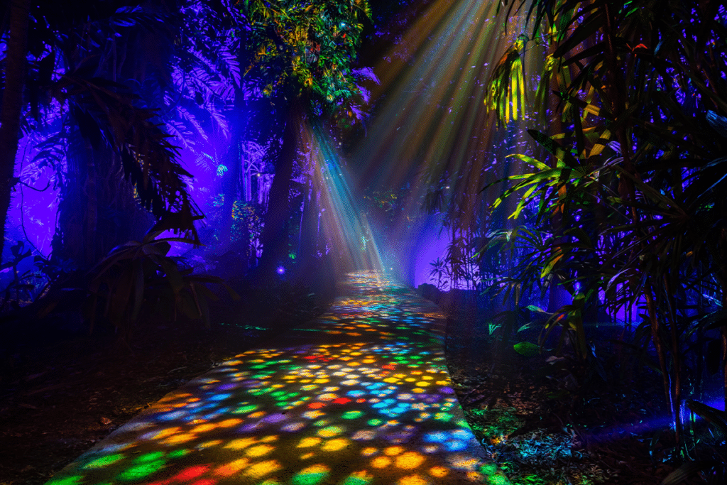 Experience The Magic Of Lights And Nature At Fairchild Tropical Botanic ...