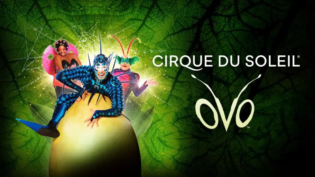 Cirque Du Soleil: OVO In Miami 2025 — The Must-See Show And How To ...